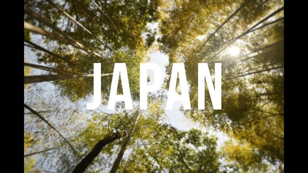 My Japanese Dorm Tour (Yoshida International House) | Kyoto University ...
